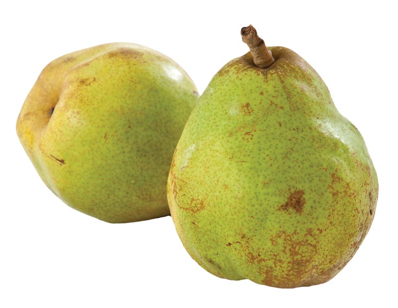 Elvi / BUMBIERI COMICE